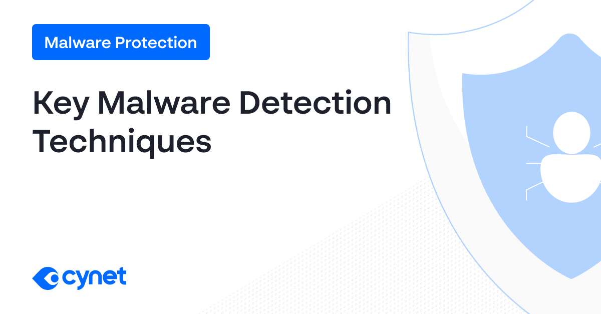 Key Malware Detection Techniques