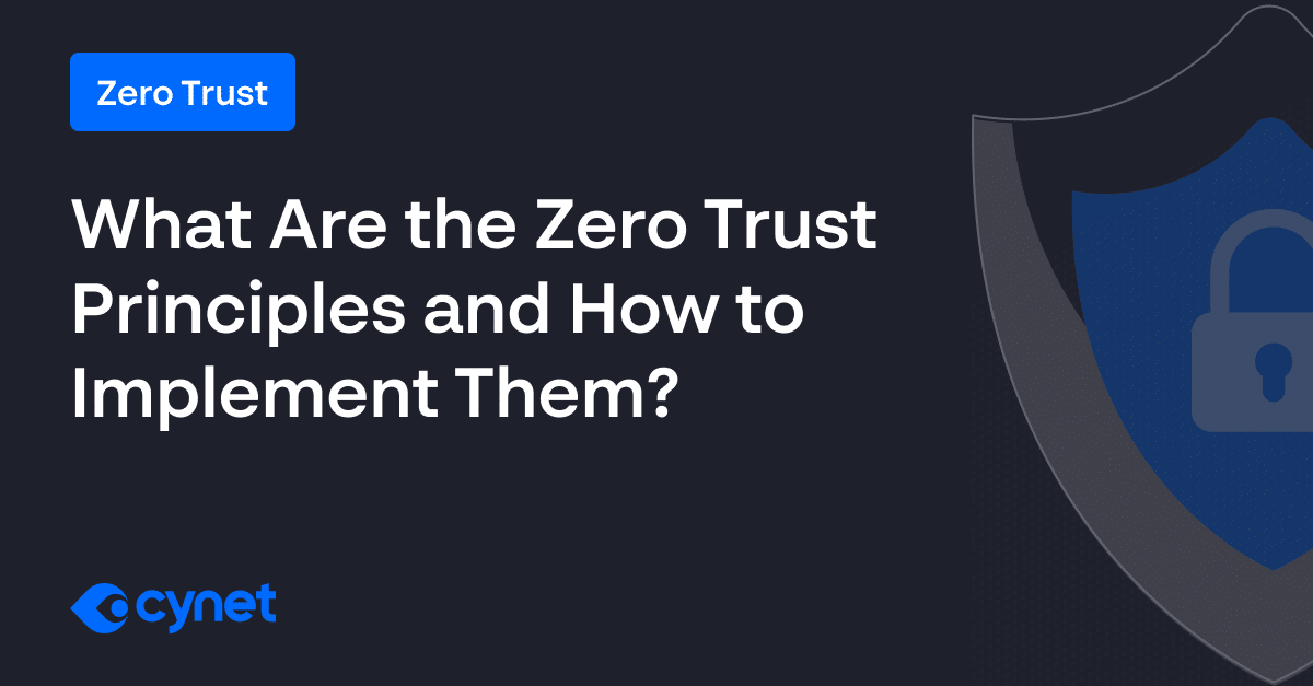 What Are the Zero Trust Principles and How to Implement Them?
