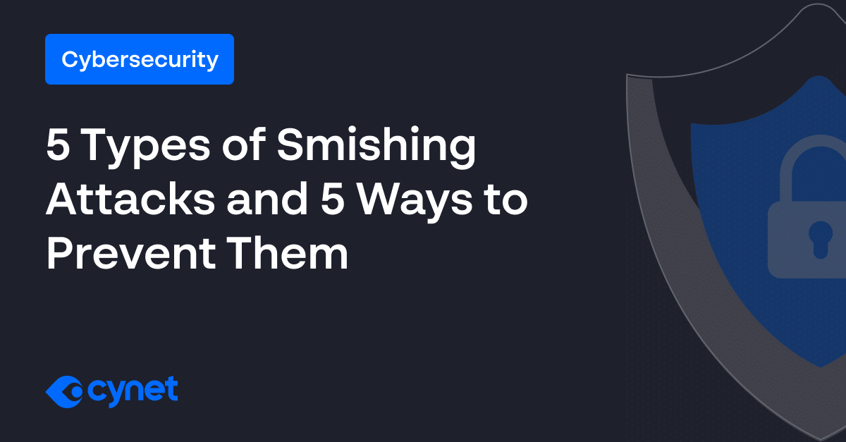 6 Types of Smishing Attacks and 5 Ways to Prevent Them